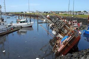 How to Survive a Tsunami: Survival Tips - Survival Reflex