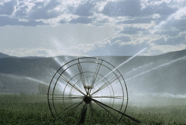 The Best Methods for Water Collection and Storage on Your Homestead ...